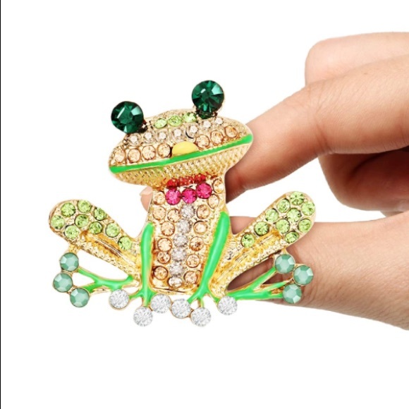 Jewelry | Crystal Frog Brooch Pin | Poshmark